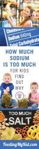 Daily Sodium Intake Guide for Children and Adolescents